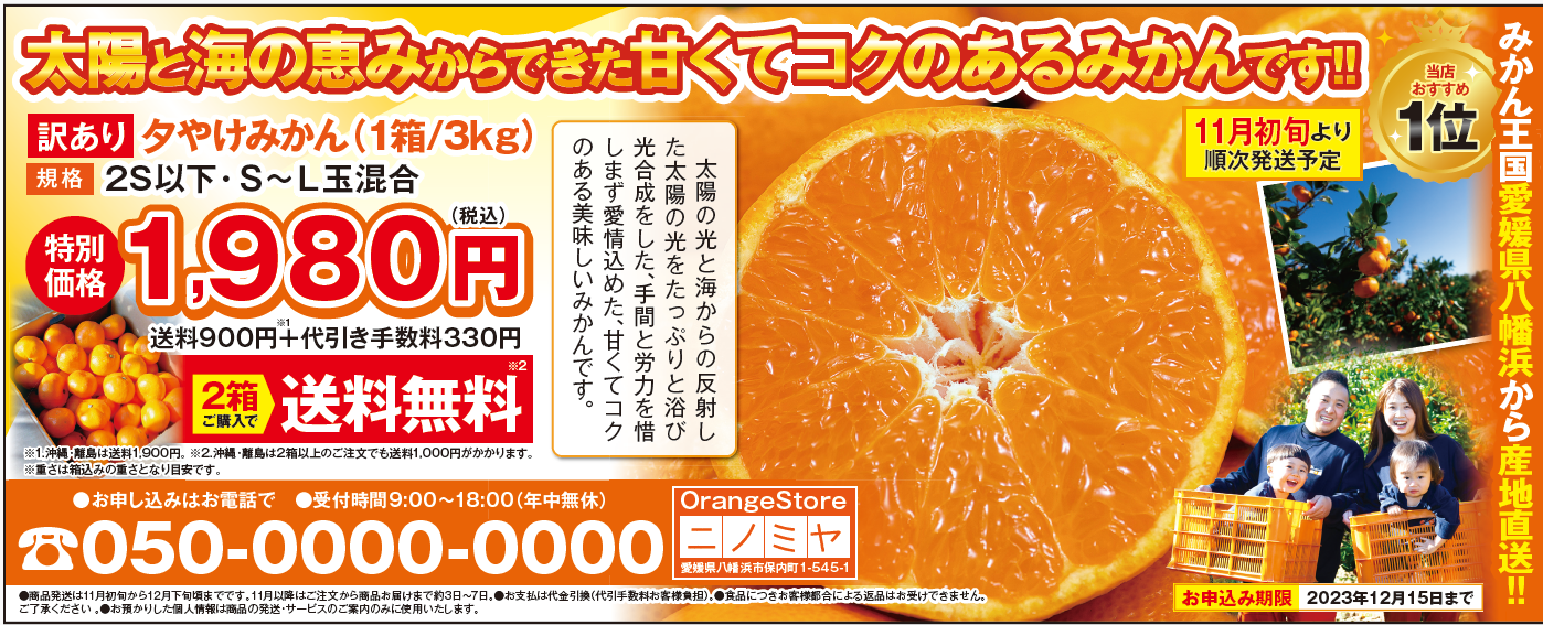 訳あり 夕やけみかん（2024年9月下旬から掲載可） | INTERPAPER